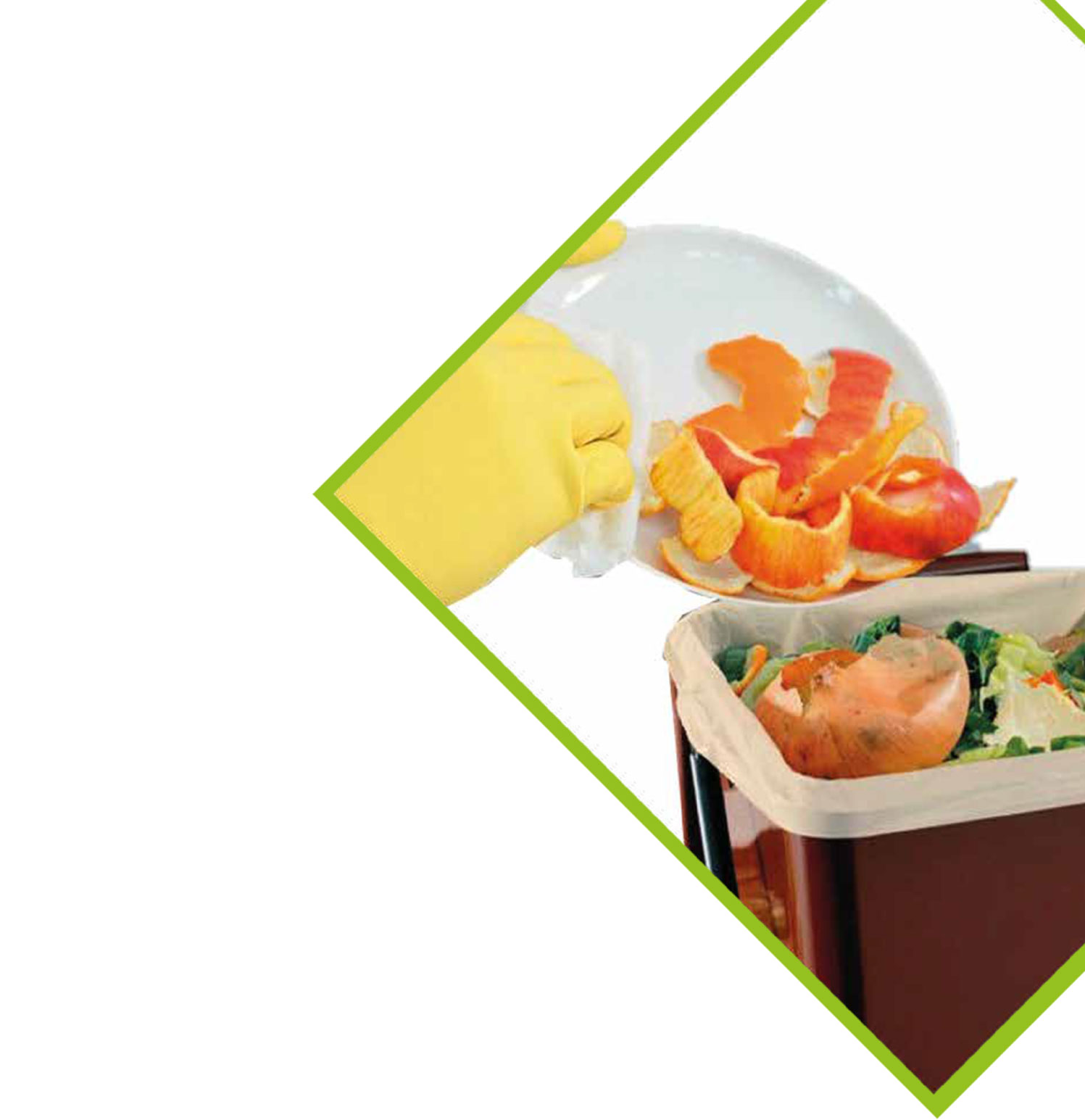 Raccolta umido - Casoria Ambiente, la guida alla raccolta corretta